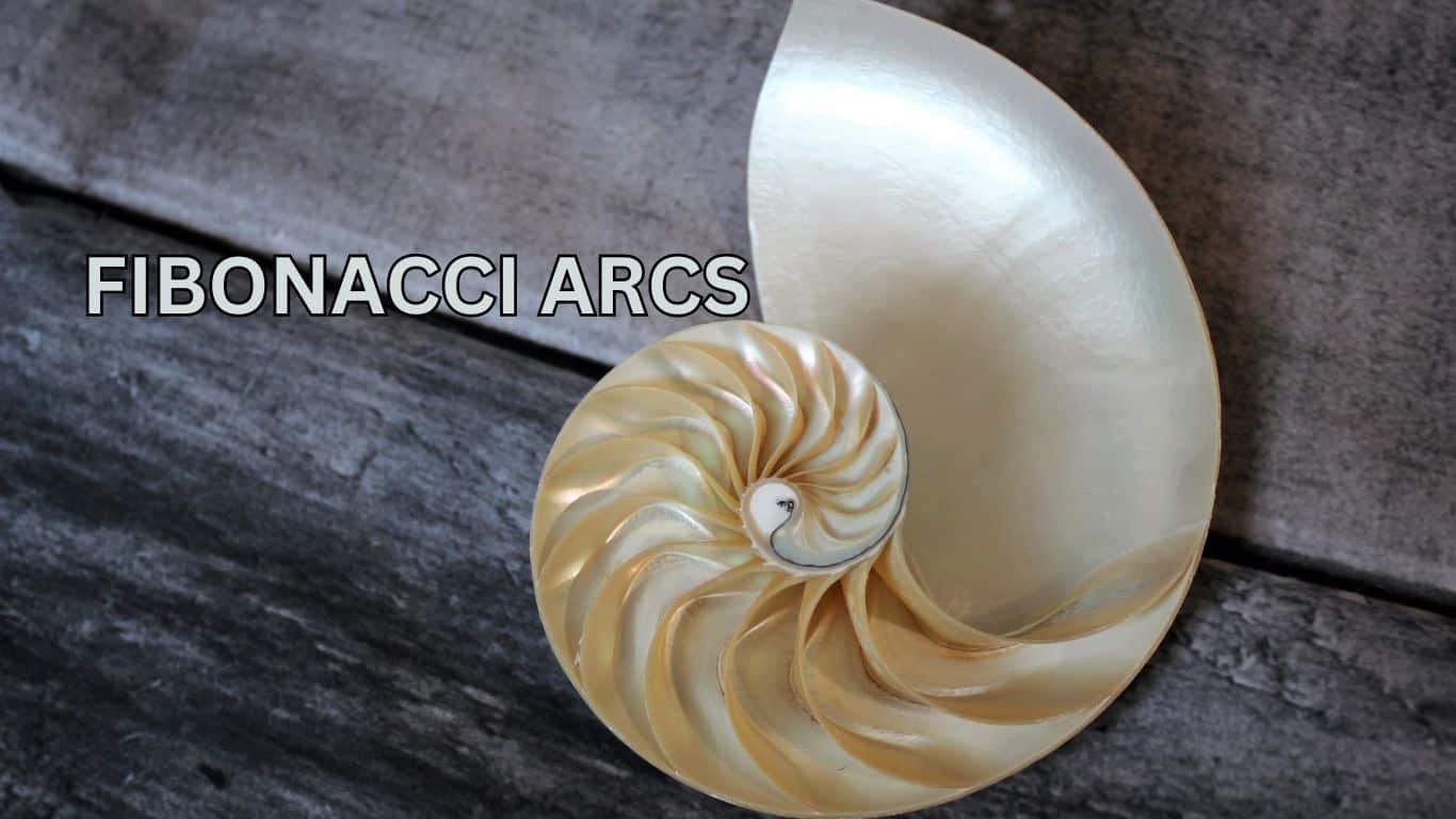 FIBONACCI ARCS - Traderocket.net