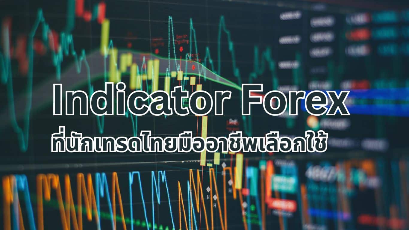รวม 6 เครื่องมือ Indicator Forex ที่นักเทรดไทยมืออาชีพ
